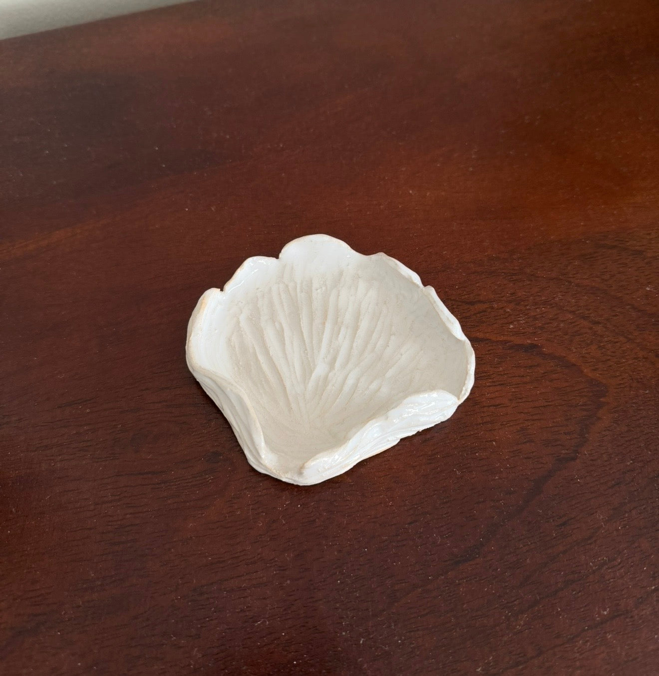 Shell-shaped small plate – Cay Collective